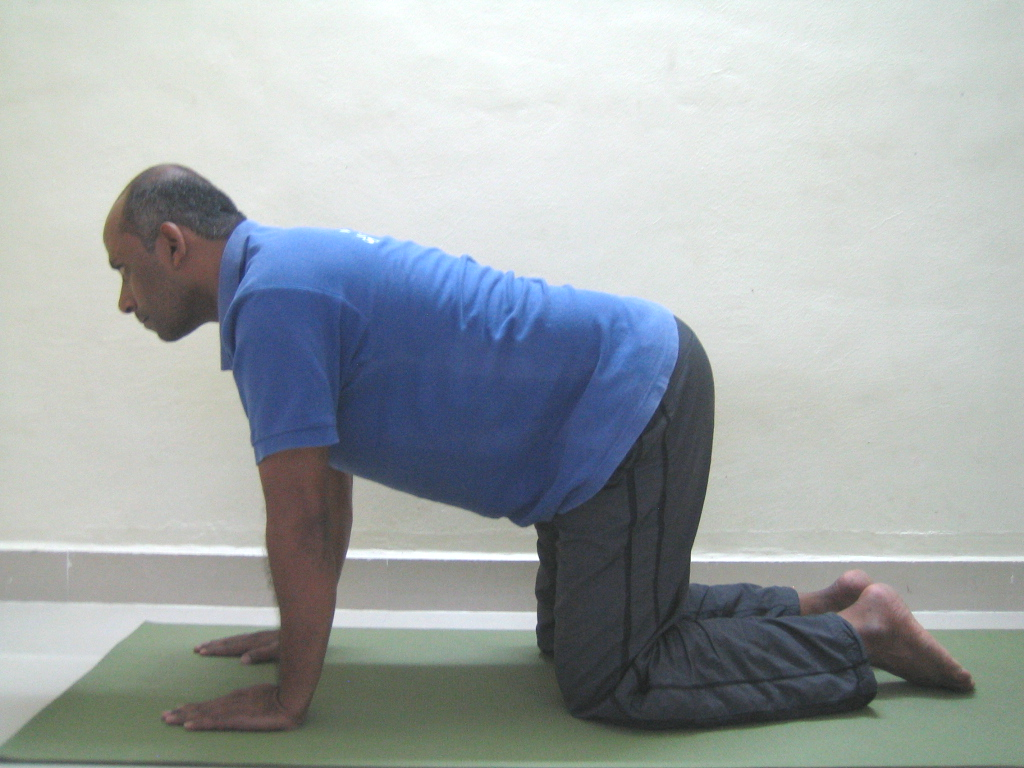 Yoga Arthritis - Marjari Asana (Cat Pose) | PatientsEngage