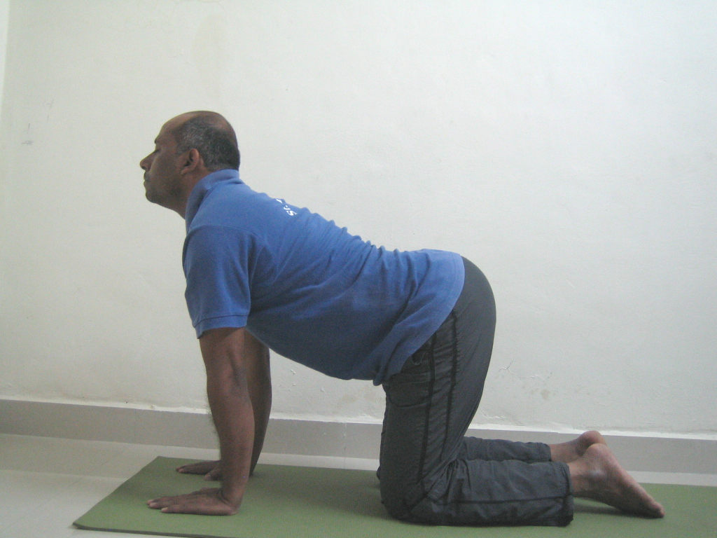 Yoga Arthritis - Marjari Asana (Cat Pose) | PatientsEngage