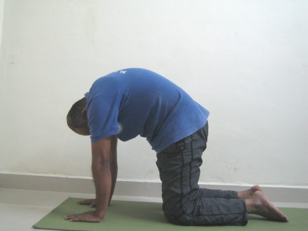 Yoga Arthritis - Marjari Asana (Cat Pose) | PatientsEngage