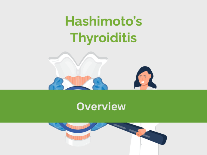 Hashimoto's Thyroiditis | What is the Thyroid gland | What happens in ...