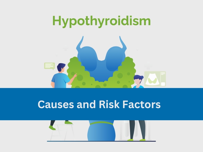 Causes of Hypothyroidism and Risk factors| Hypothyroidism Causes and ...