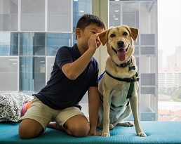 The Healing Power of Therapy Dogs | Animal Assisted Therapy ...