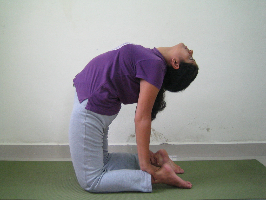 Yoga - Ushtrasana (Camel Pose) | PatientsEngage